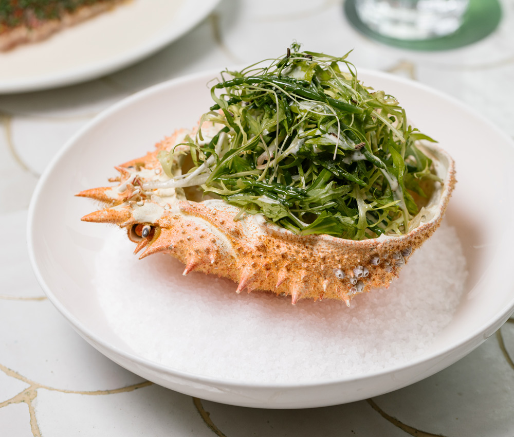 Seabird | Rooftop Restaurant in Southwark, London